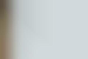 Eco Insect-Inspired Illustrations : Insect Design