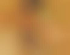 Celebrity Phone Cases : celebrity cell phone cases