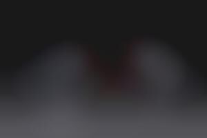 Body-Inspired Bikes : Zapfina Bike