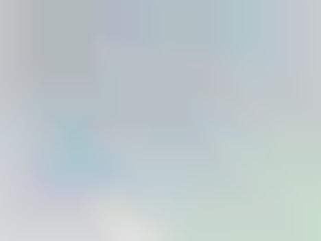 Secret National Security Infographics : NSA PRISM