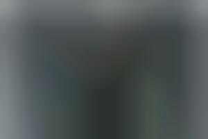 Glamorously Chaotic Editorials : grunge fashion