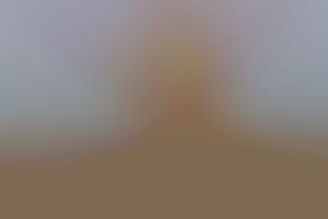 Breathtaking Driftwood Sculptures : Jeff Uitto