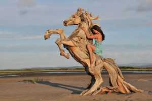 Breathtaking Driftwood Sculptures : Jeff Uitto