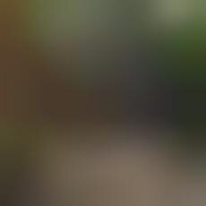 Personal Pod Studios : Sett Studio