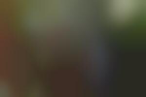 Personal Pod Studios : Sett Studio