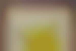 Dictionary Canvas Art : Peter Hamilton