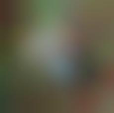 Cooperative Banks : Rabobank