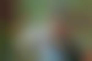 Cooperative Banks : Rabobank