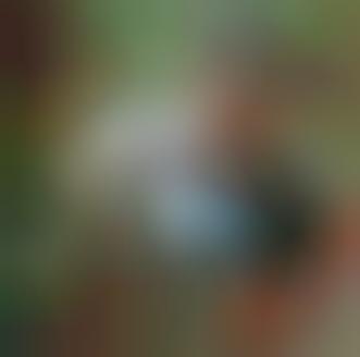 Cooperative Banks : Rabobank