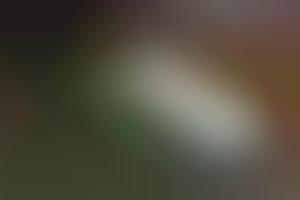 Grassy Turf Coasters : Turf Coasters