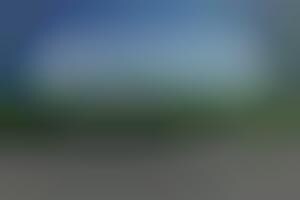 Evolutionary Graffiti Infographics : bansky graffiti