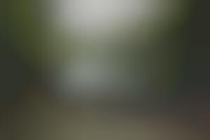 Eco-Friendly Temporary Libraries : SUTD Library Pavilion