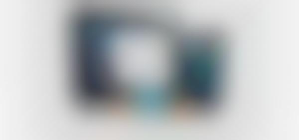 Real-Time Health Monitors : BodyGuardian RMS