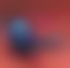 Humorous Phallic Tea Sets : ceramic teapots