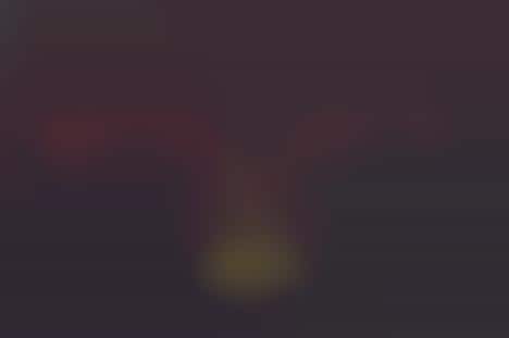 Sacreligious Pork-Coated Bullets : Jihawg Ammo