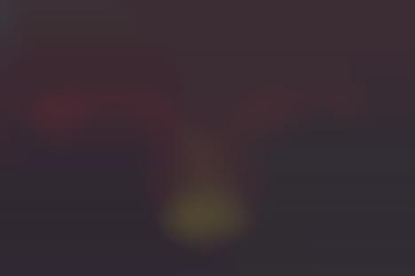 Sacreligious Pork-Coated Bullets : Jihawg Ammo