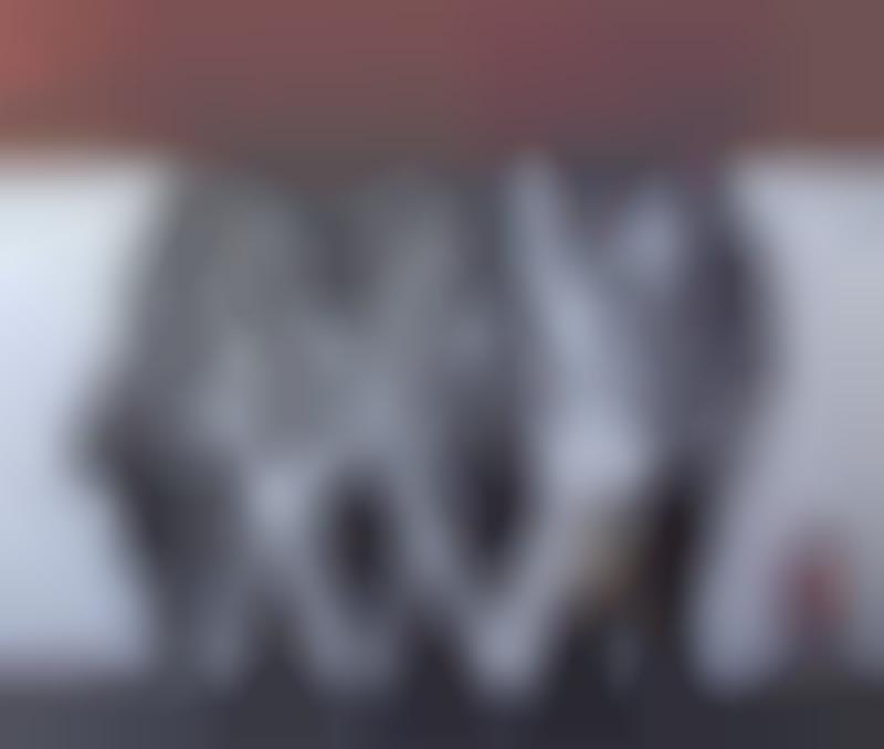 Top 100 Graffiti Trends in 2013