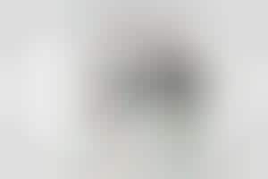 Interesting Insect-Preparing Cookbooks : eat-a-bug