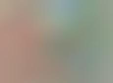 Collegiate IQ Charting Infographics : College major