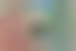 Collegiate IQ Charting Infographics : College major