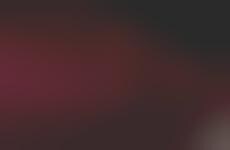 Bizarre Barbie Bras : Barbie Bras