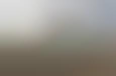 Manmade Waste Sculptures : Human Debris