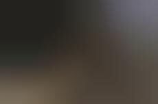 Surreal Fallen Tree Sculptures : cut down trees