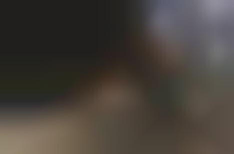 Surreal Fallen Tree Sculptures : cut down trees