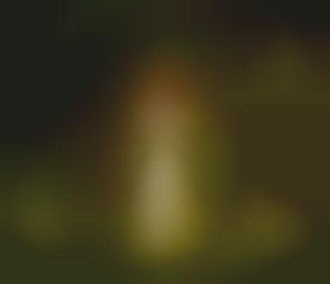 Sinful Female Photography : the seven deadly sins