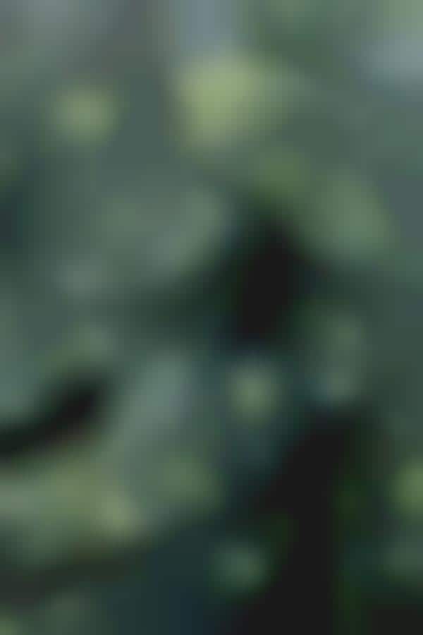 101 Creative Body Art Paintings