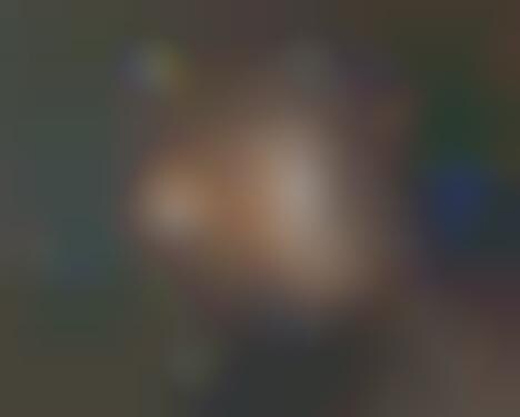 Eerie Shadowed Remains Artwork : Roadkill Art Pieces