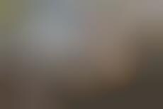 Modernized Renaissance Photography : Maisie Broadhead