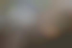 Modernized Renaissance Photography : Maisie Broadhead