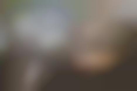 Modernized Renaissance Photography : Maisie Broadhead