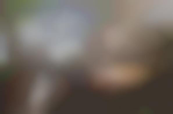 Modernized Renaissance Photography : Maisie Broadhead