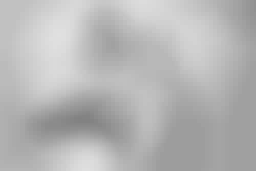 31 Examples of Literary Photography