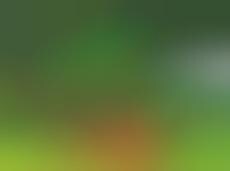 Watermelon-Inspired Sneakers : Nike SB Dunk