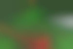 Watermelon-Inspired Sneakers : Nike SB Dunk