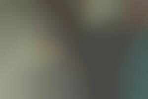 Racy Retro Editorials : Retro Inspired Fashion