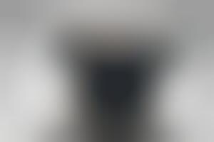 Caught Canine Captures : Pug Mug Shots