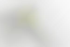 Sleek Anti-Tug Plugs : Stable Plug