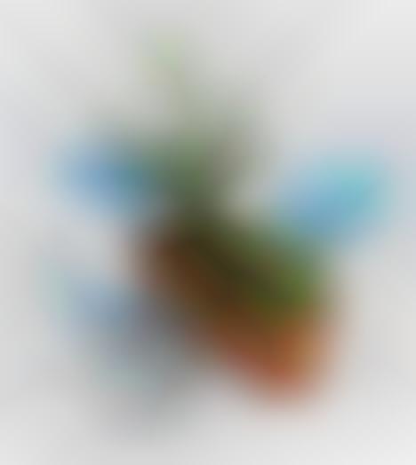 Eco-Friendly Foliage Funnels : Releaf Rainwater Collector