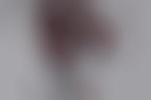 Luxurious Bug Squashers : Leather & Steel Fly Swatter