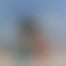 Pop-Up Seaside Libraries : Beach Library