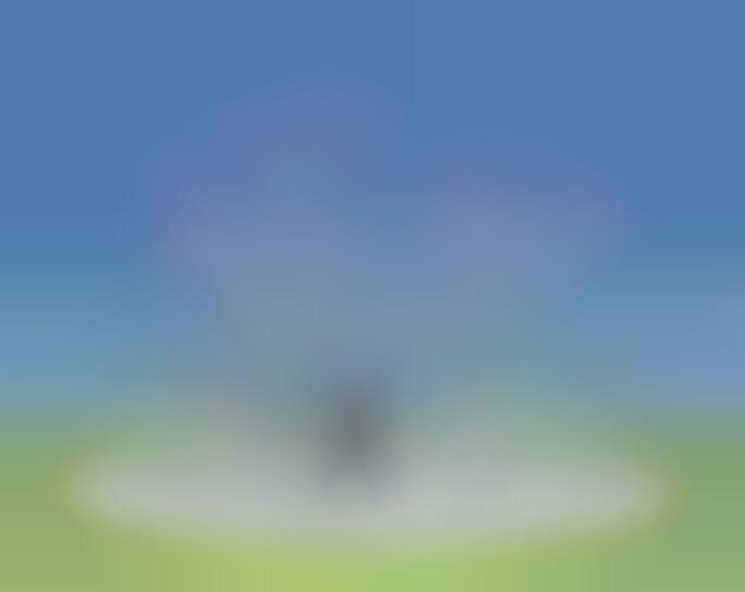 100 Artistically Intricate Structures