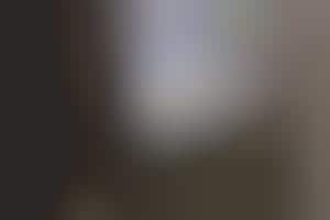 Self-Regulating Window Shades : Invisible Blinds