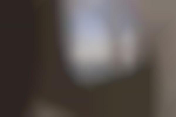 Self-Regulating Window Shades : Invisible Blinds