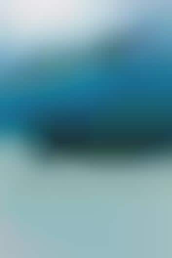 31 Examples of Underwater Transportation