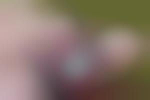 Pulse-Reading Jogging Jewelry : sport pulse ring