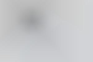 Viral Expression Phone Cases : Boss iPhone Case